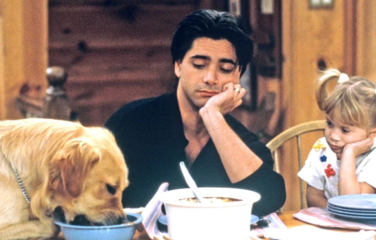 25 on-screen animals that became pop culture icons
