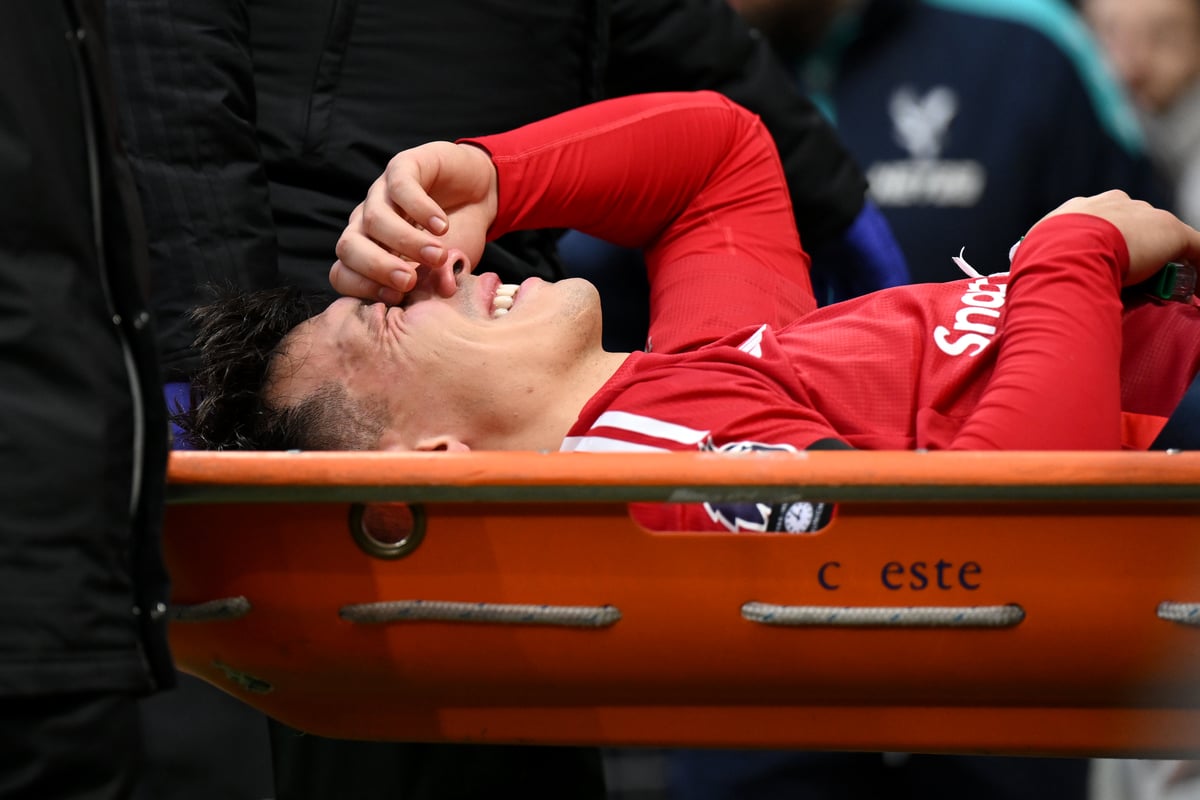 Manchester United injury update: Lisandro Martinez, Luke Shaw and Mason ...