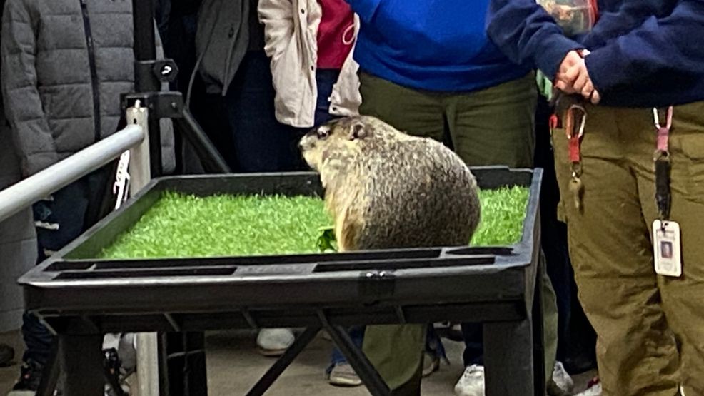 Buckeye Chuck makes his prediction for Groundhog Day