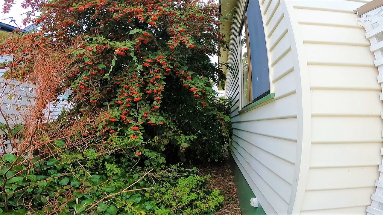 Nightmare Repaired Just In Time | End of Lease Makeover