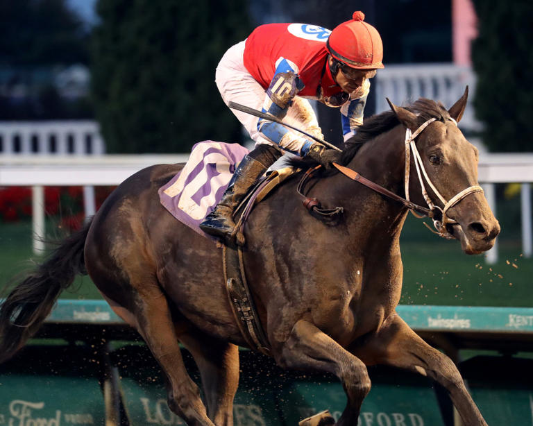 McAfee, Half-Brother To Thorpedo Anna, May Use Ohio Derby As Prep For ...