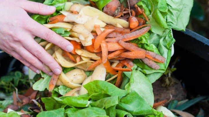 10 Paper Things to Compost from Tissue to Wrapping