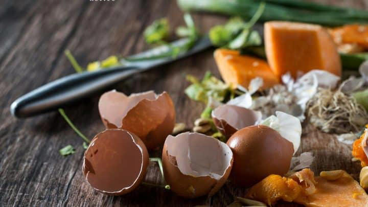 10 Paper Things to Compost from Tissue to Wrapping