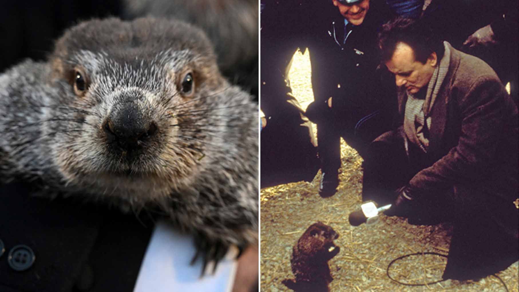 Here's the full story of Groundhog Day and Punxsutawney Phil