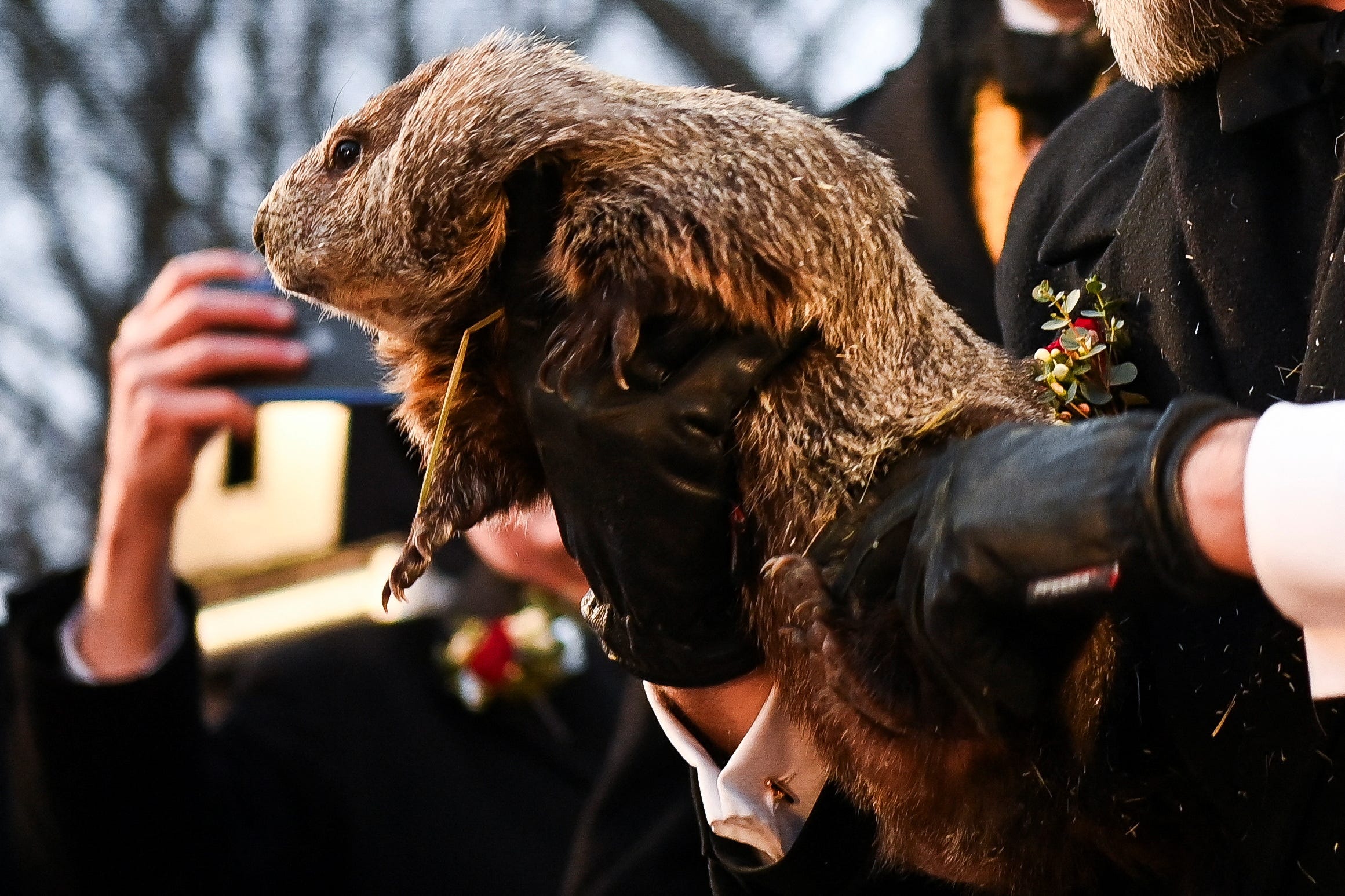 What if the groundhog sees his shadow? Get ready for Groundhog Day 2026