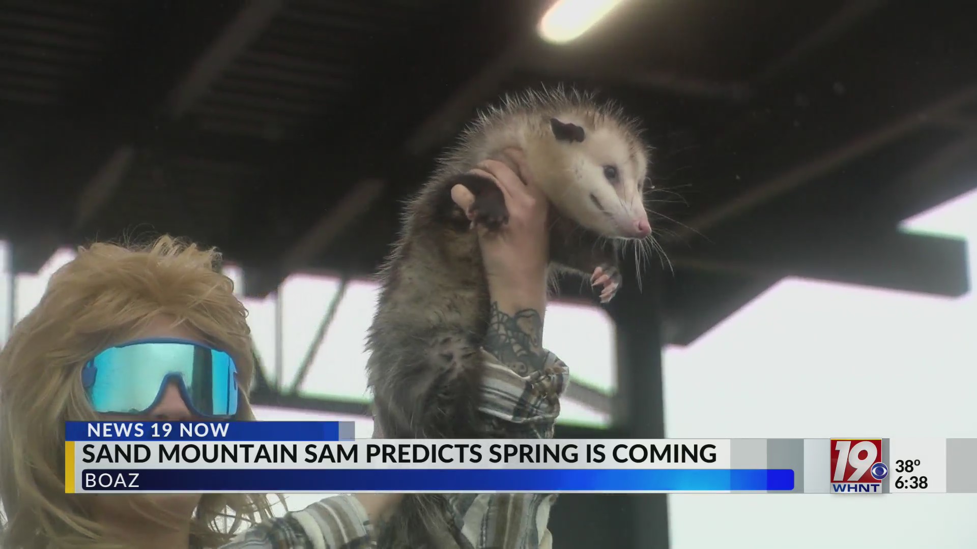 Sand Mountain Sam Predicts Spring is Coming | Feb. 1, 2025 | News 19 ...