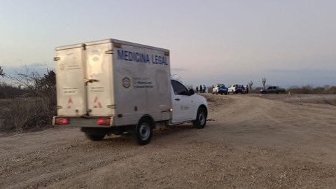Una bebé fue hallada gateando sola en la carretera, su madre fue ...