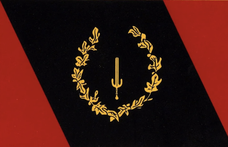 Everything You Need To Know About the Black American Heritage Flag ...
