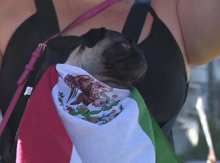 GALLERY: Protests against mass deportation erupt across San Diego GALLERY: Protests against mass deportation erupt across San Diego