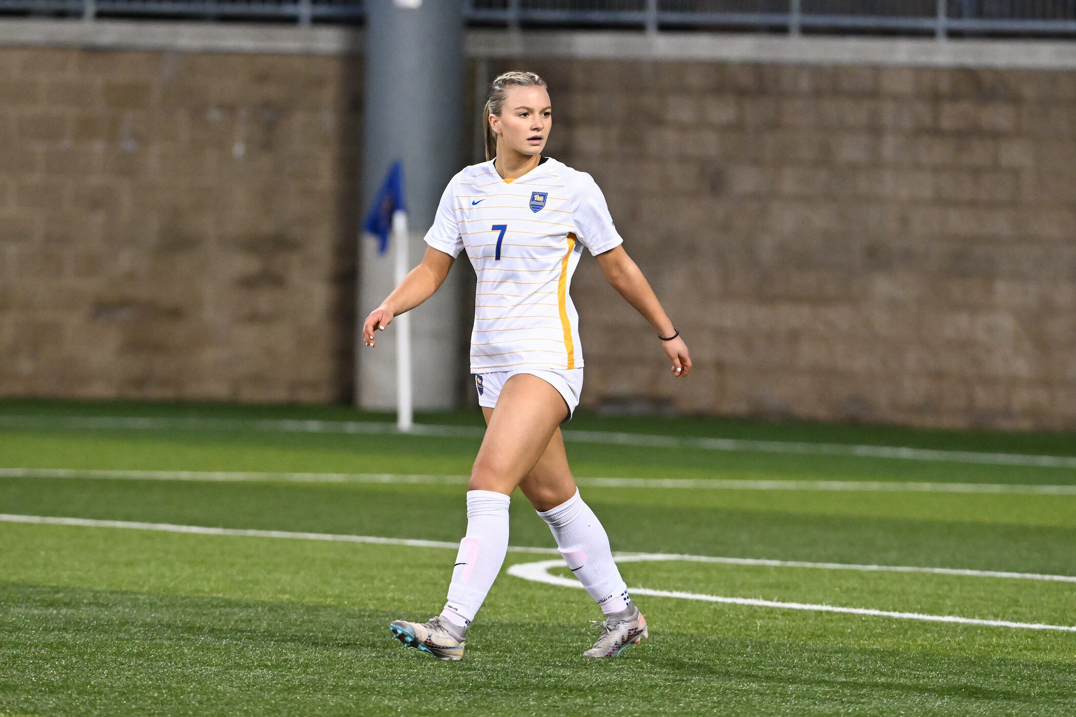 Riveters add Pitt forward to roster