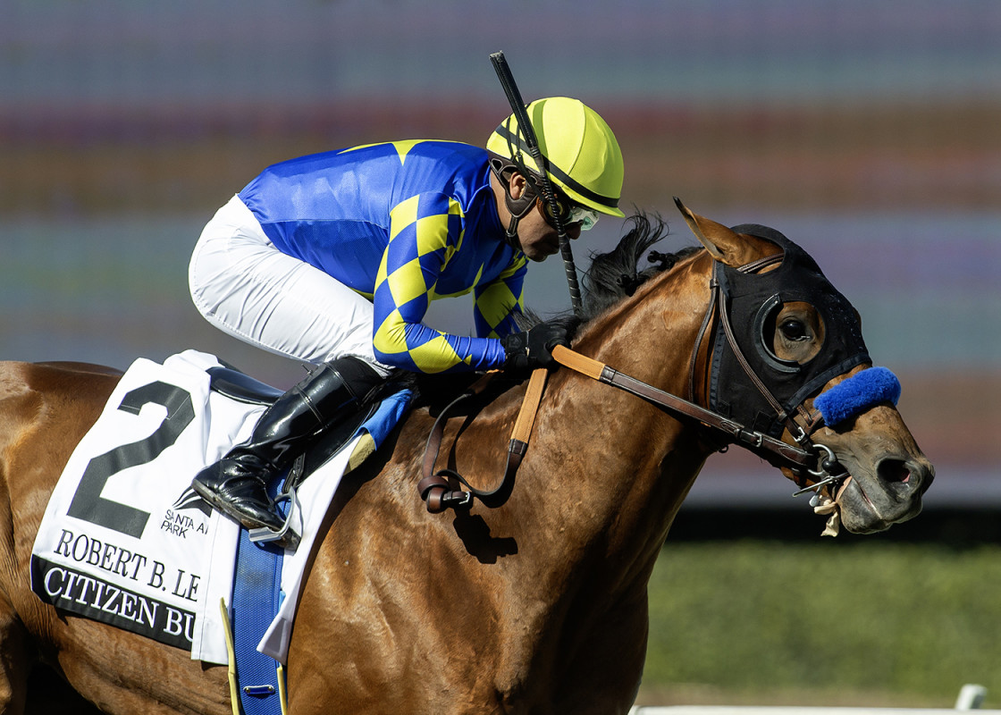 'Wait And See': Champion Citizen Bull Garners 98 BSF For Lewis Win ...