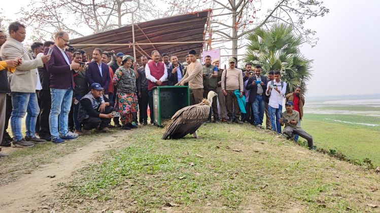 Assam: Kaziranga Tiger Reserve records highest migratory bird count ...