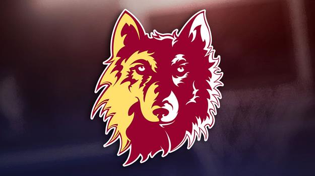 No. 22 Wolves defeat Warriors