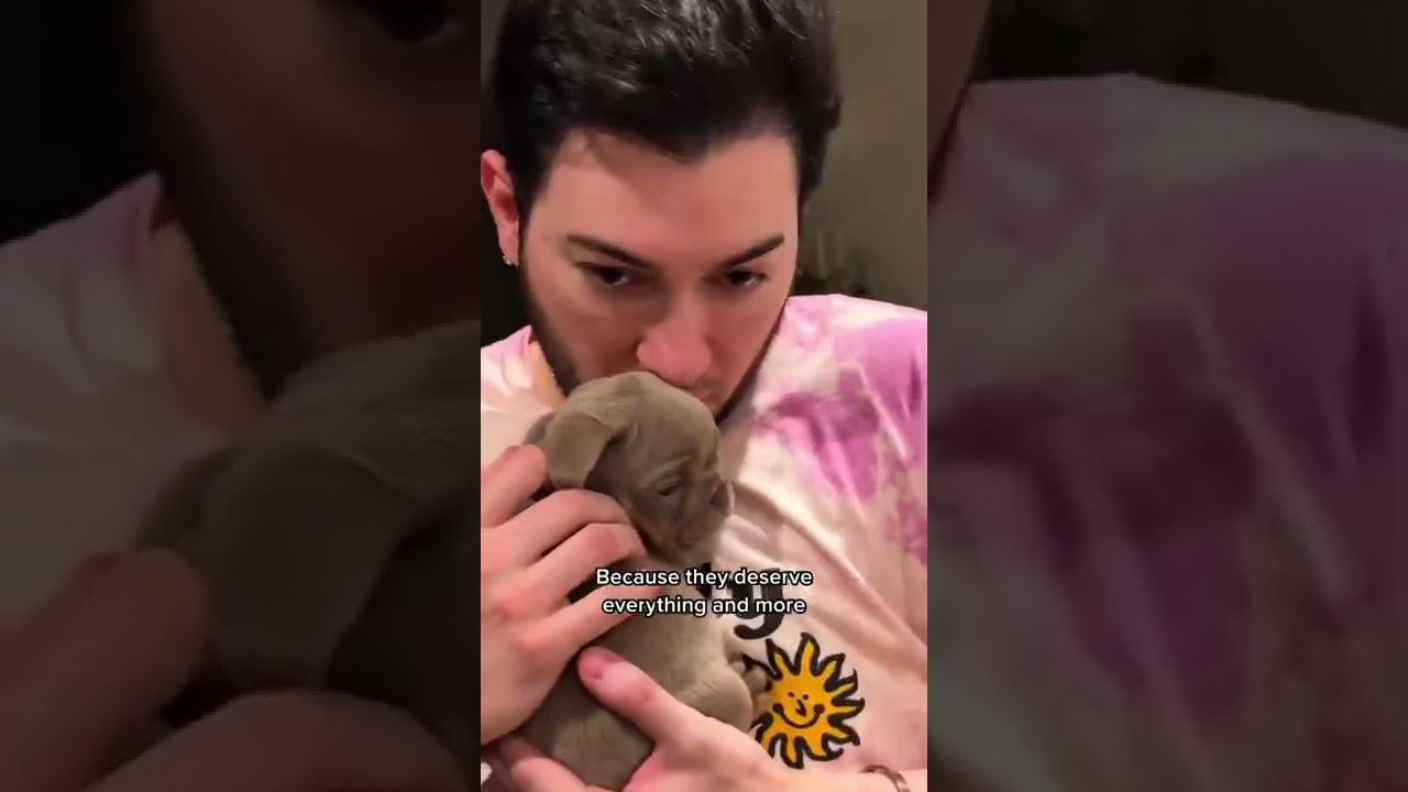 Blind puppies rescued from euthanasia face new hope