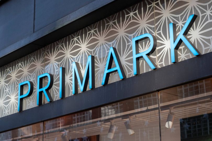 Primark shoppers swoon over 'cute' new teddy bears that remind fans of ...