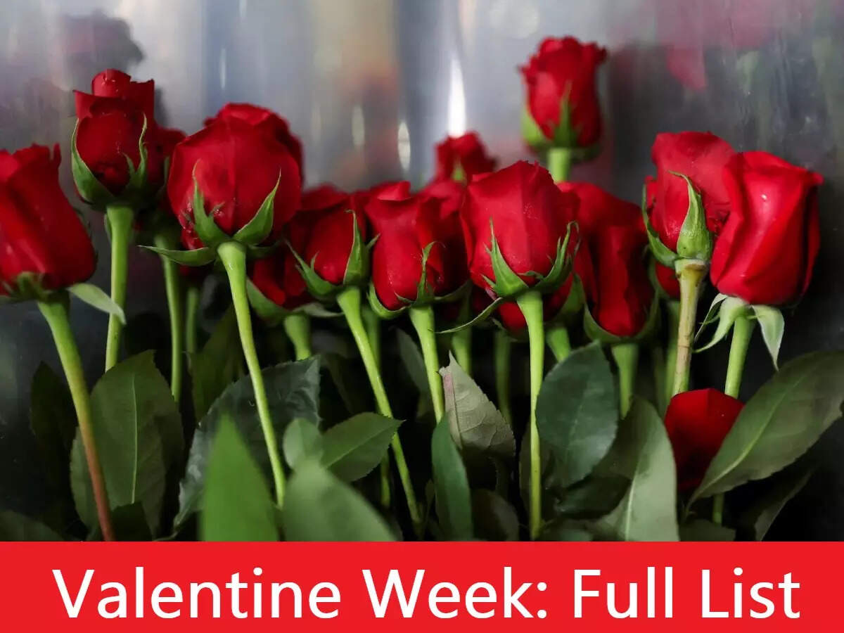 Valentine's Week 2025: From Rose Day, Kiss, Hug to Valentine's Day ...