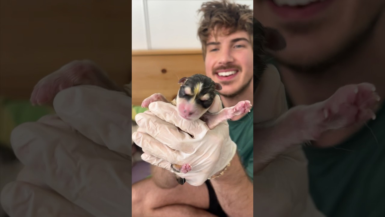 Group guesses generational peers