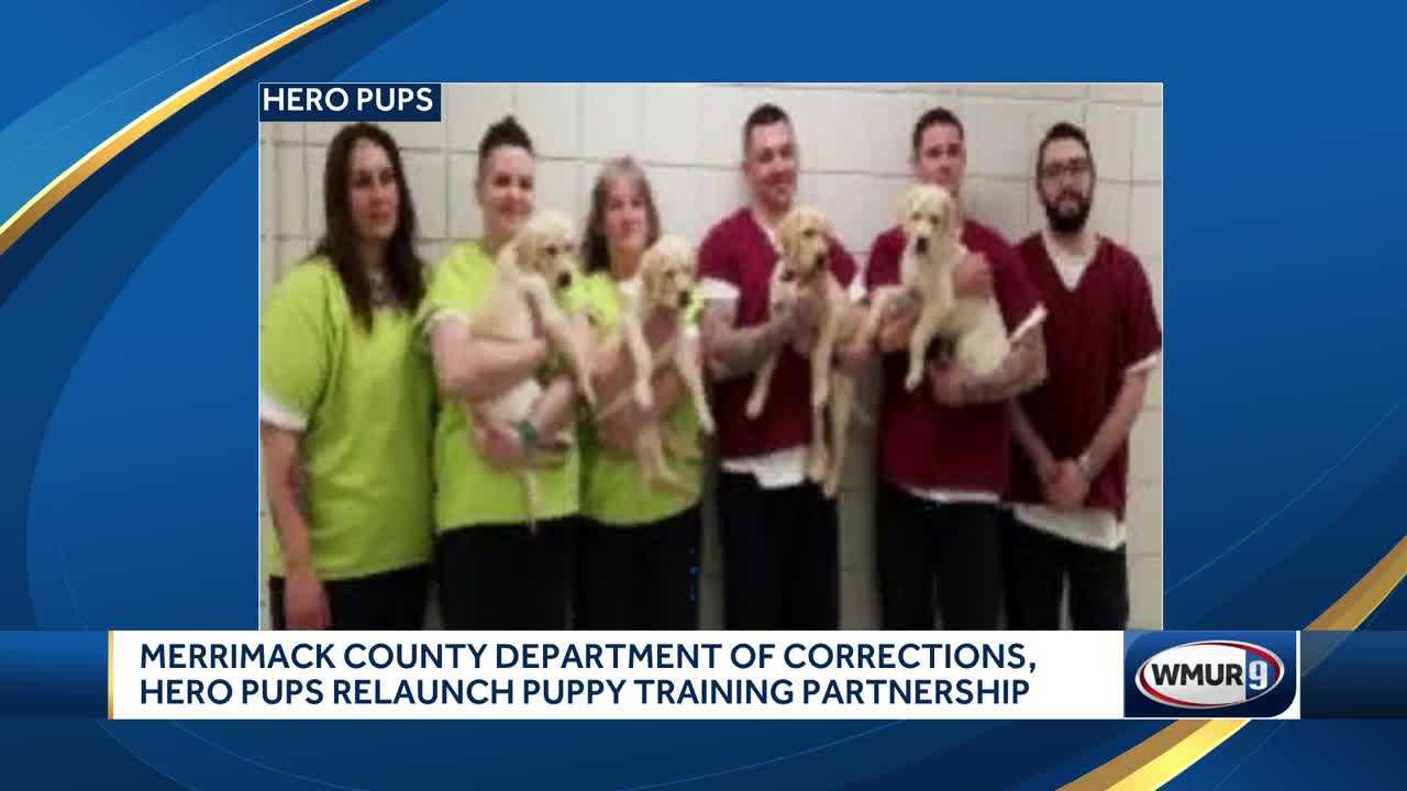 Merrimack County Department of Corrections relaunches Hero Pup program