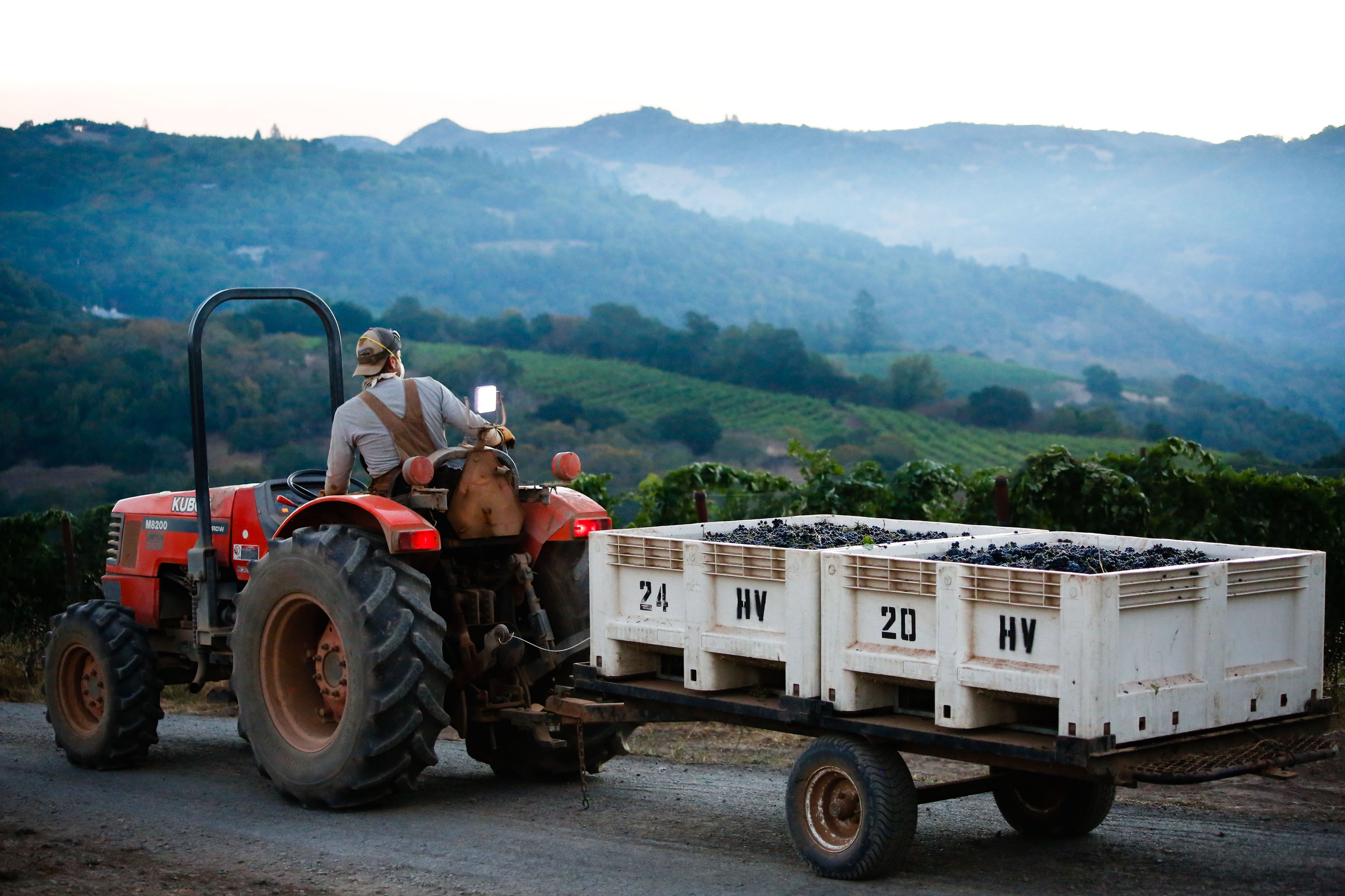 14 Family-Owned Wineries That Shaped Modern Winemaking Trends