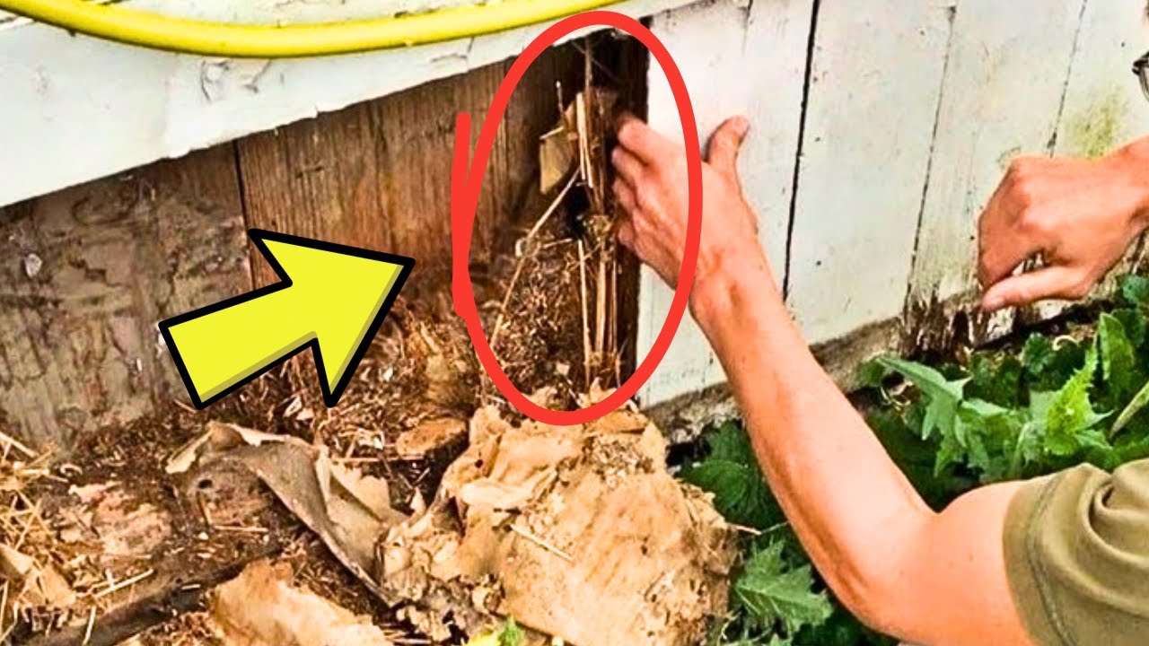 Couple Uncovers a 100-Year-Old Gift Hidden by the Mafia