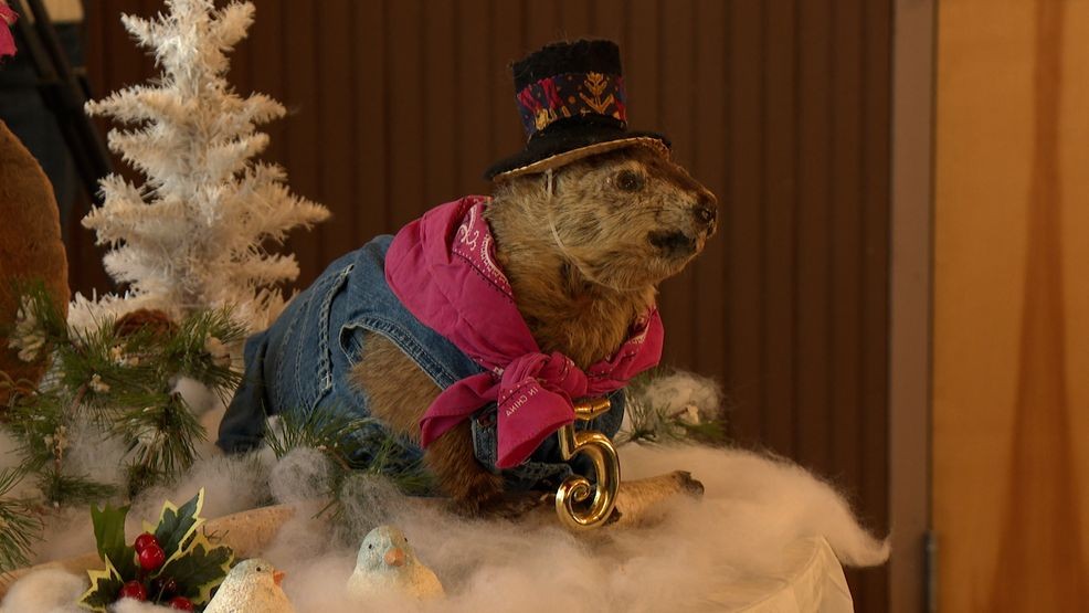 Sweet Arrow's Grover the Groundhog predicts an early spring from beyond ...