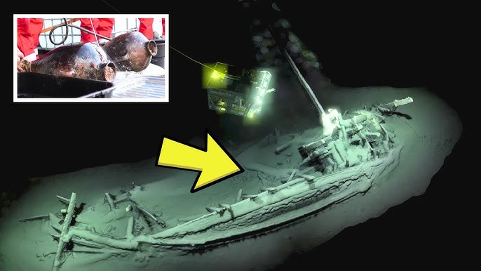 Scientists Make an Extraordinary Discovery: The Oldest Ship Ever Found ...