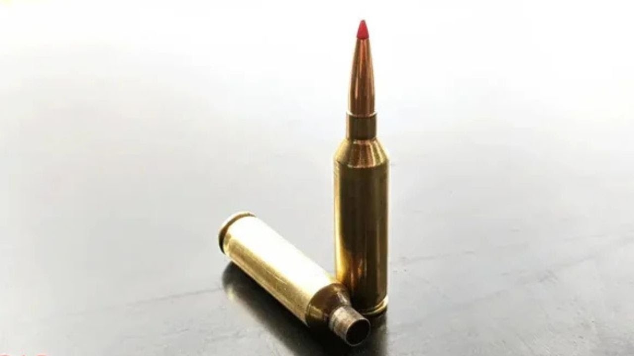 Could Hot New .22 Cartridges Replace the .243 Winchester?