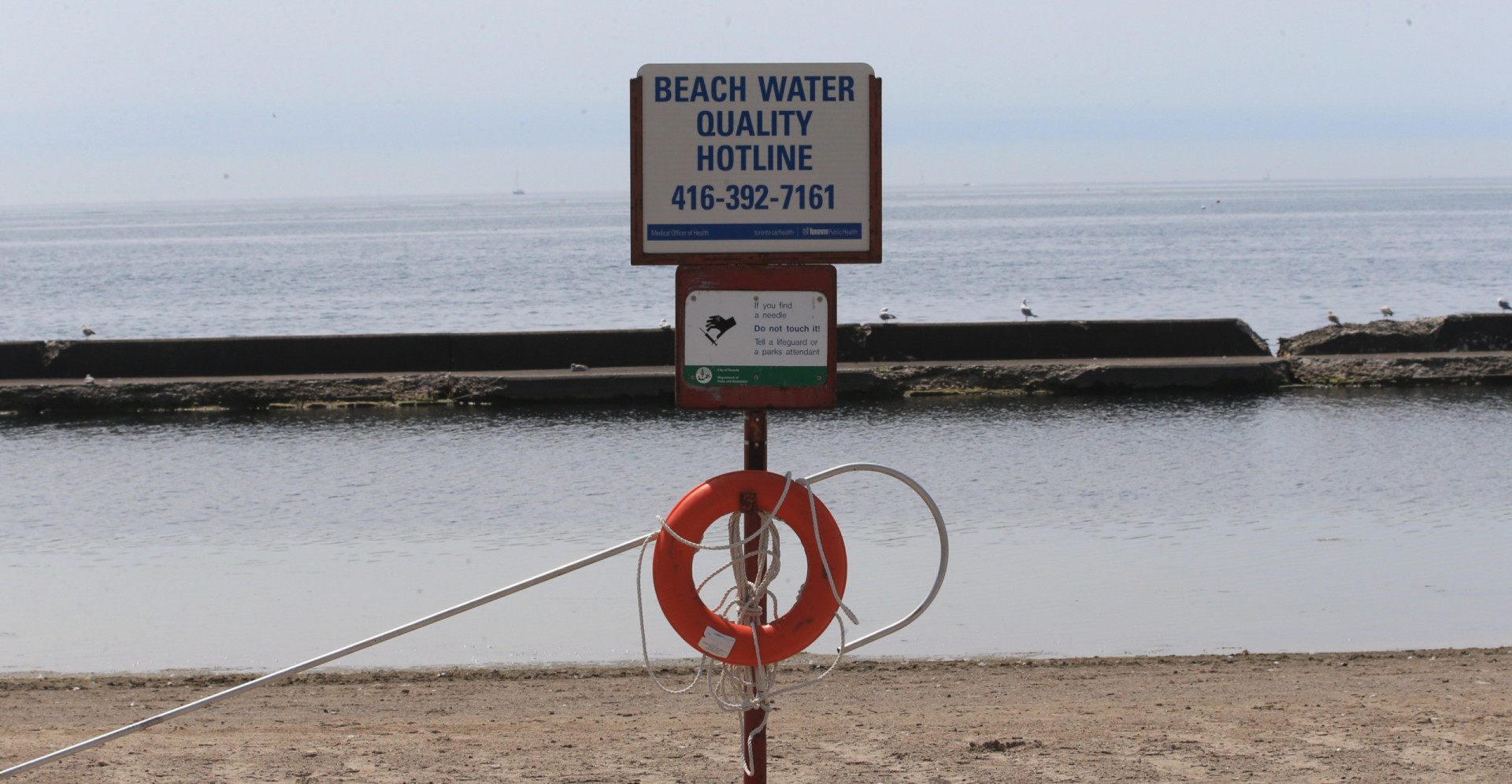 Everything you need to know about E.coli infection