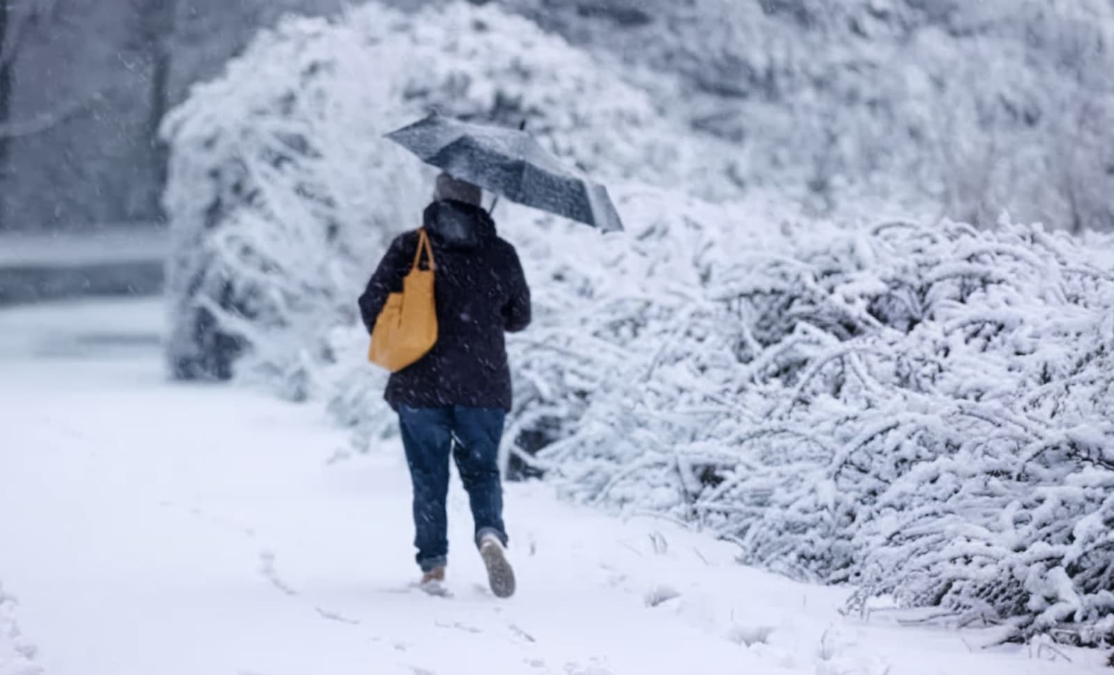 Météo : une nouvelle goutte froide arrive en France, retour de la neige ...