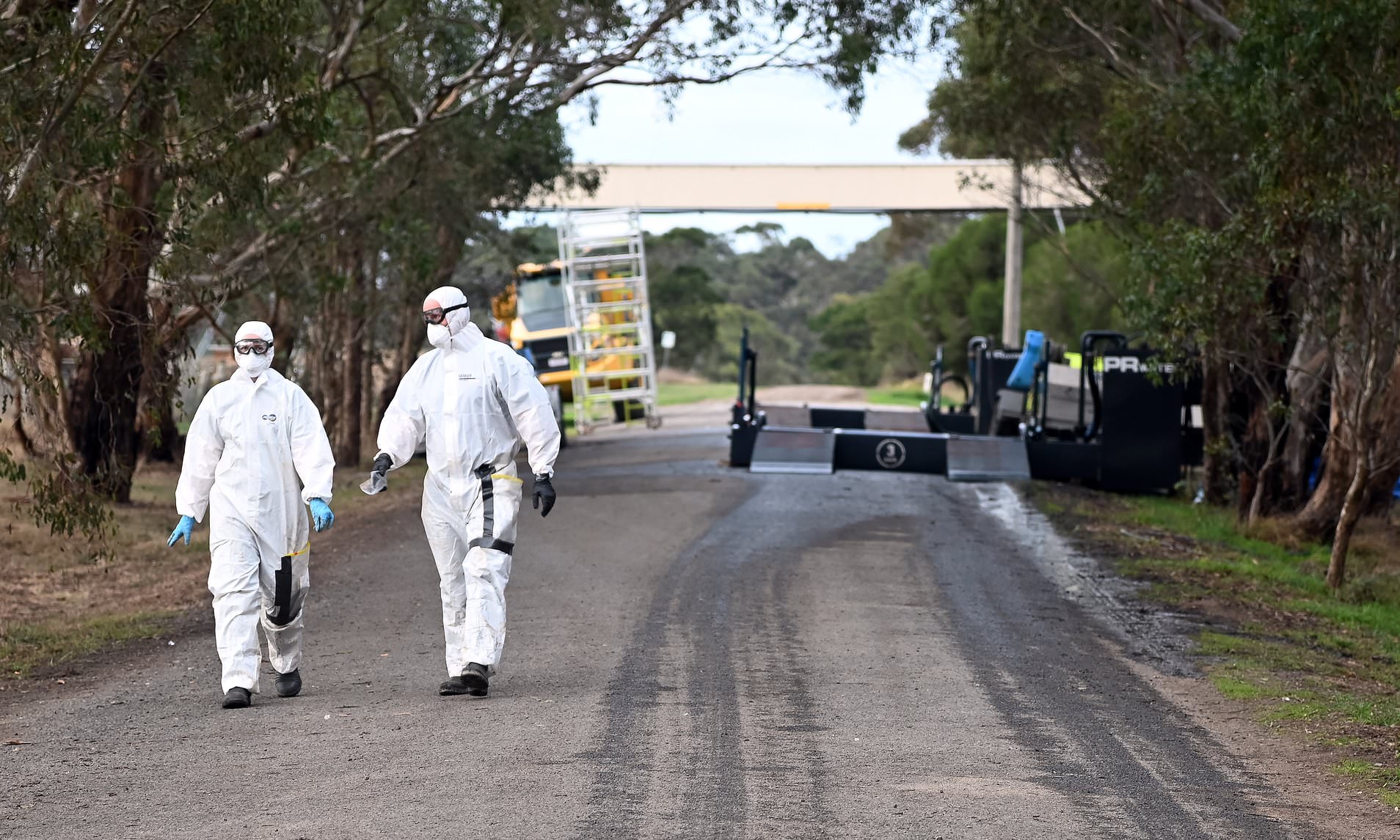 Top doctor sounds alarm over new pandemic virus mutation in bird flu