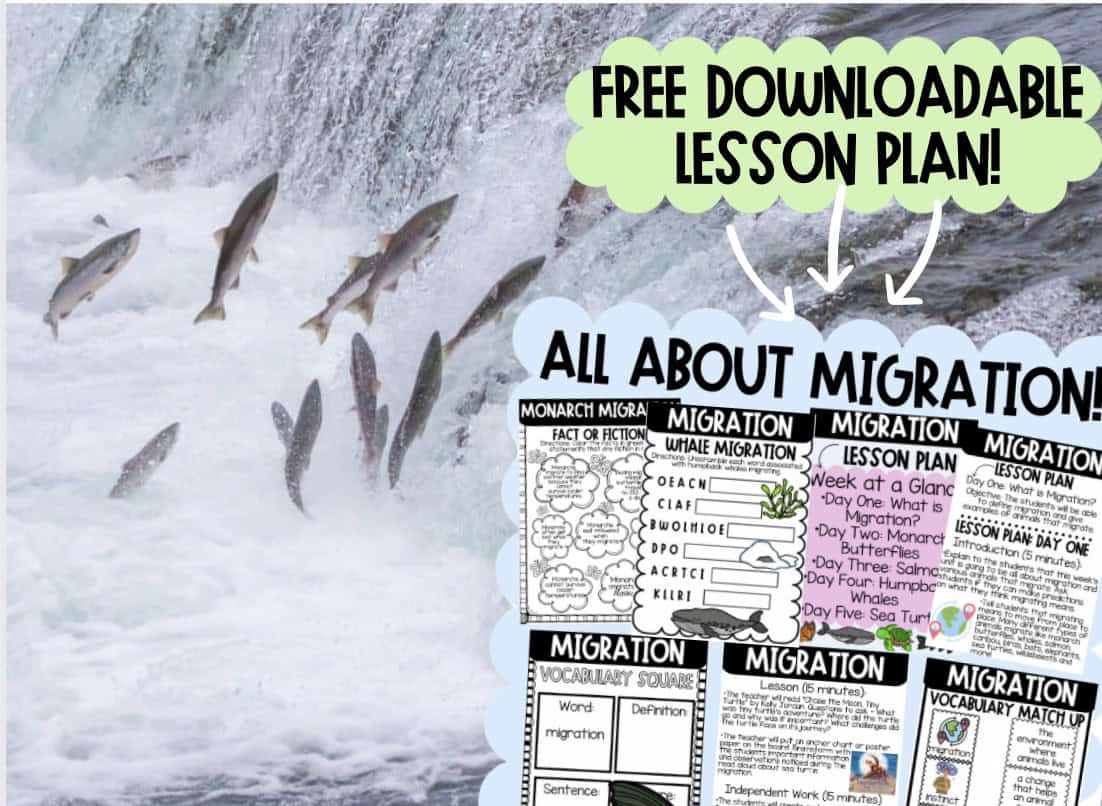 A 5-Day Unit Plan on the Amazing Journeys of Migrating Animals