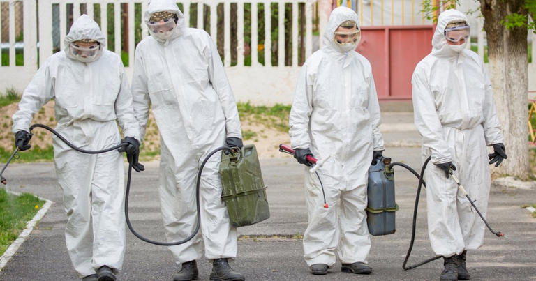 Bird Flu Mutations Raise Pandemic Concerns in Europe