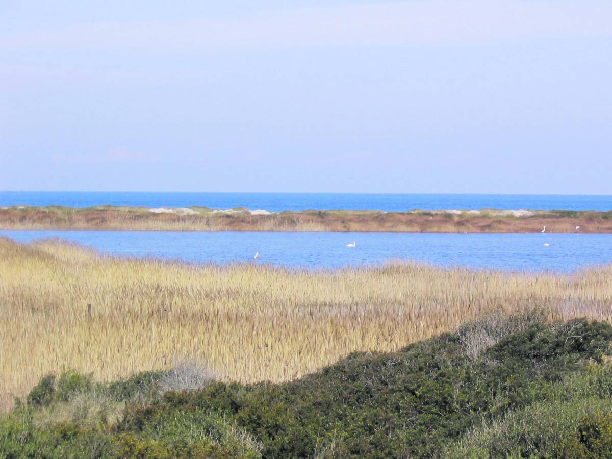 Dolce benessere dalla Lombardia alla Puglia