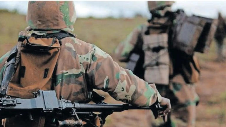 SANDF soldier trampled to death by elephants during Limpopo patrol