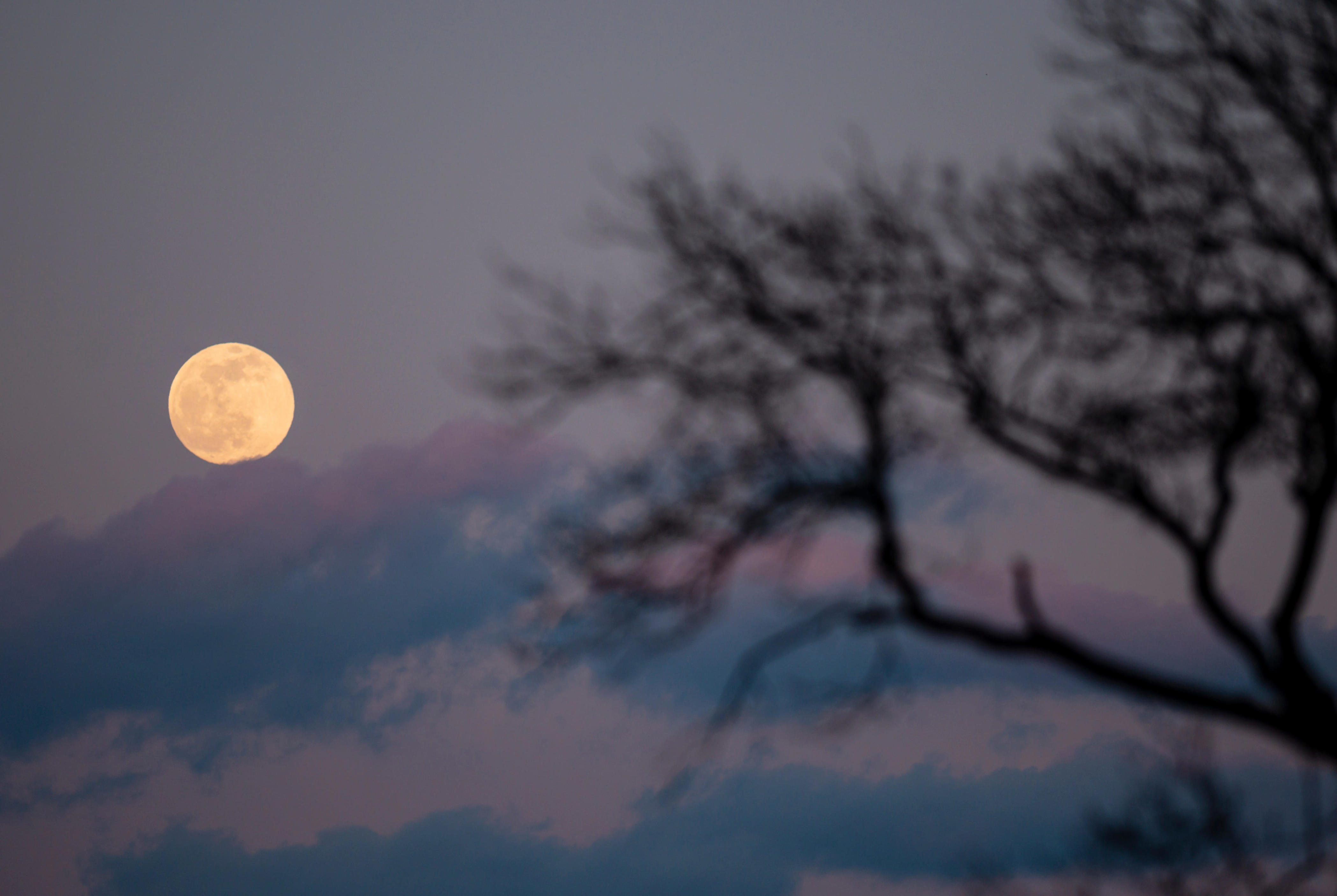 When will February 2025's full Snow Moon rise over mid-Hudson Valley?