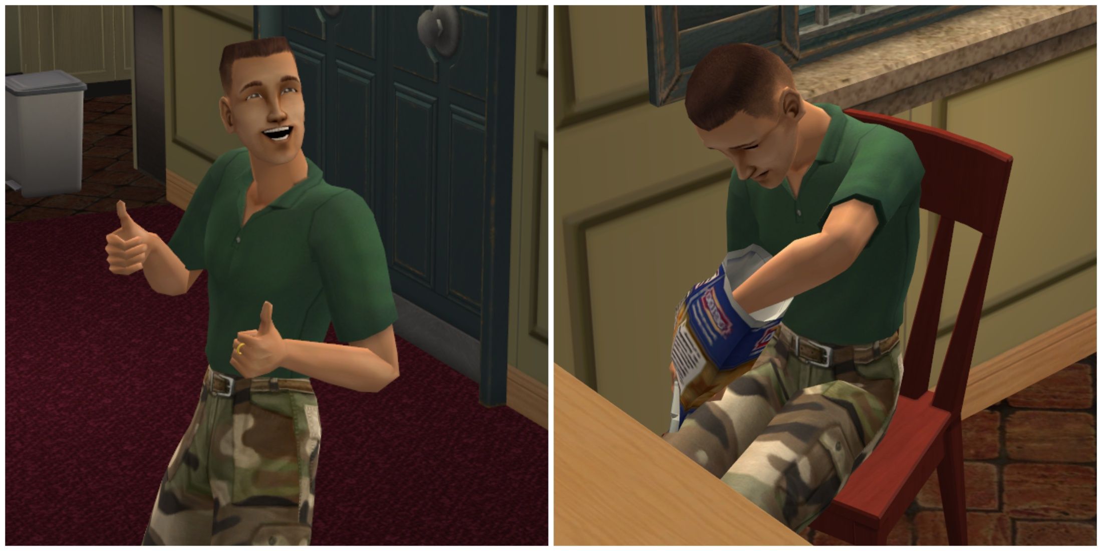 How to Cheat Needs in The Sims 2