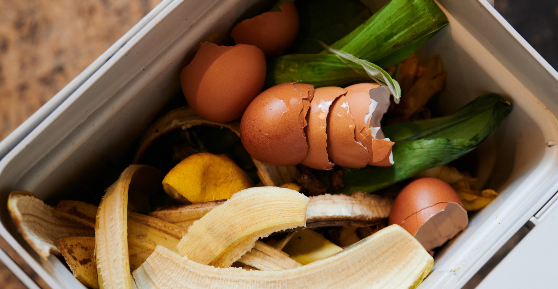 Home composting: essential tips to get started