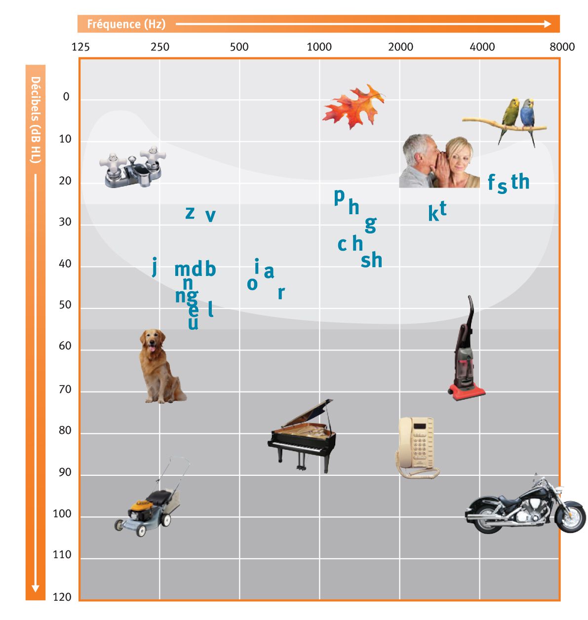 The speech banana in an audiogram
