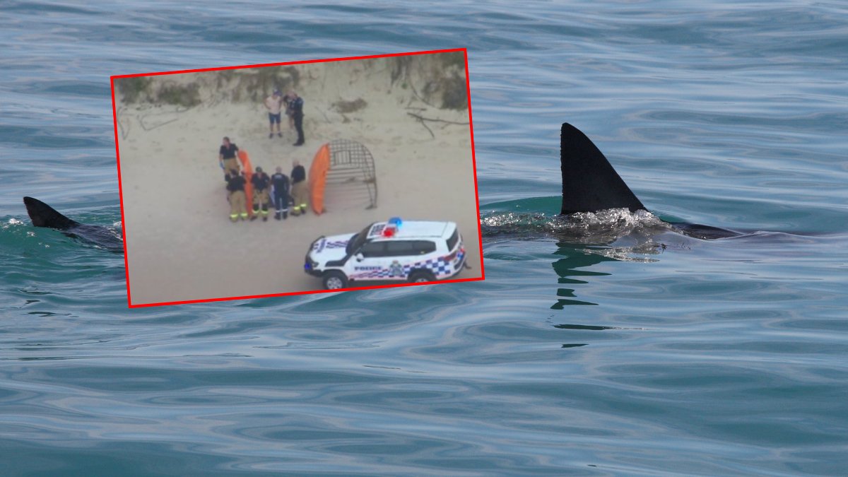 Atak rekina "tuż przy brzegu". Nie żyje nastolatka