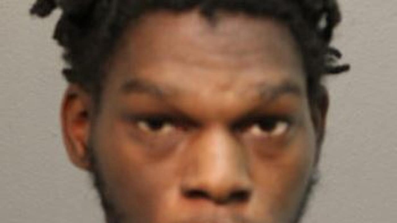 Illinois teen charged in deadly shooting of Elgin student outside Lil ...