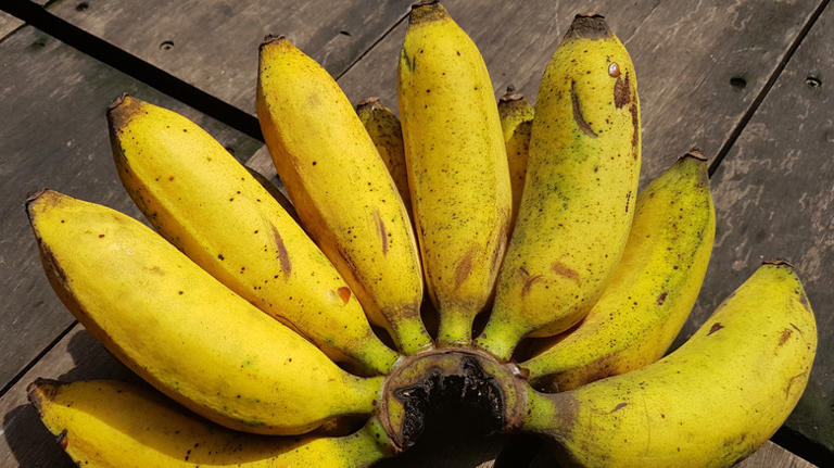13 Types Of Bananas You'll Wish You Tried Sooner