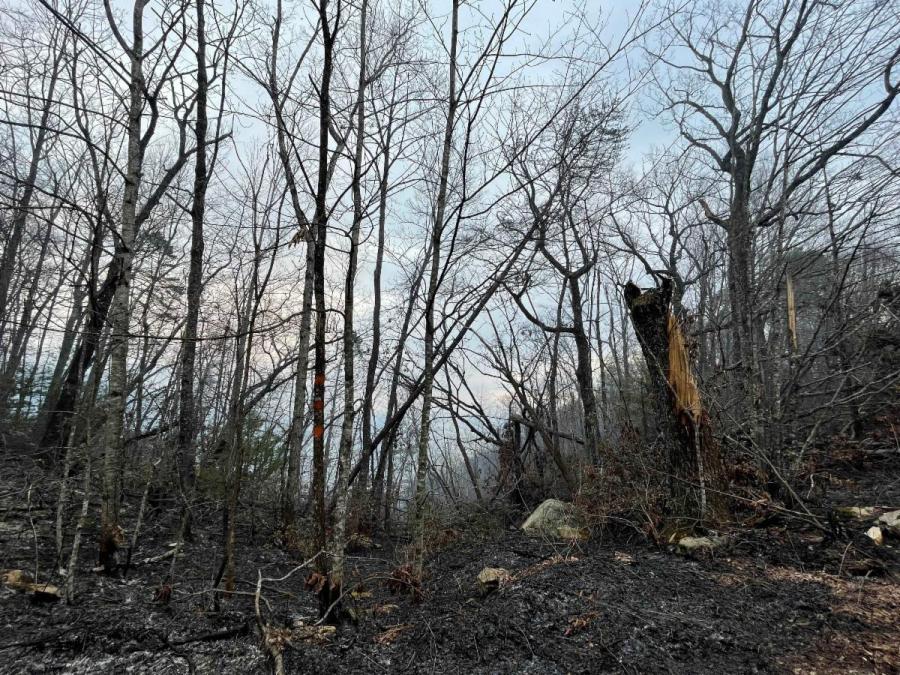 Western North Carolina wildfire 65% contained