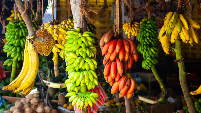 13 Types Of Bananas You'll Wish You Tried Sooner