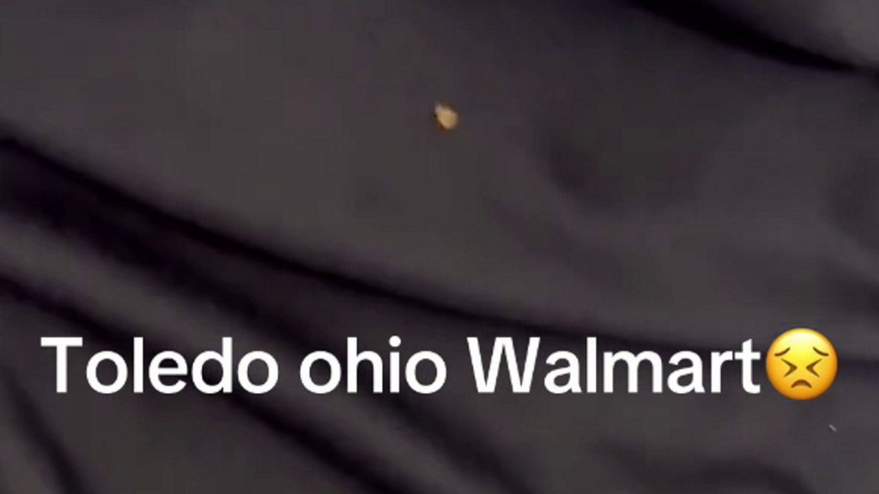 Woman left shocked after spotting bugs on clothes at Walmart