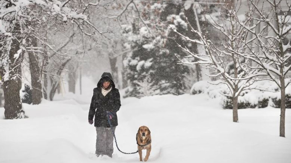 Discover the science behind snowflakes: How temperature shapes their ...