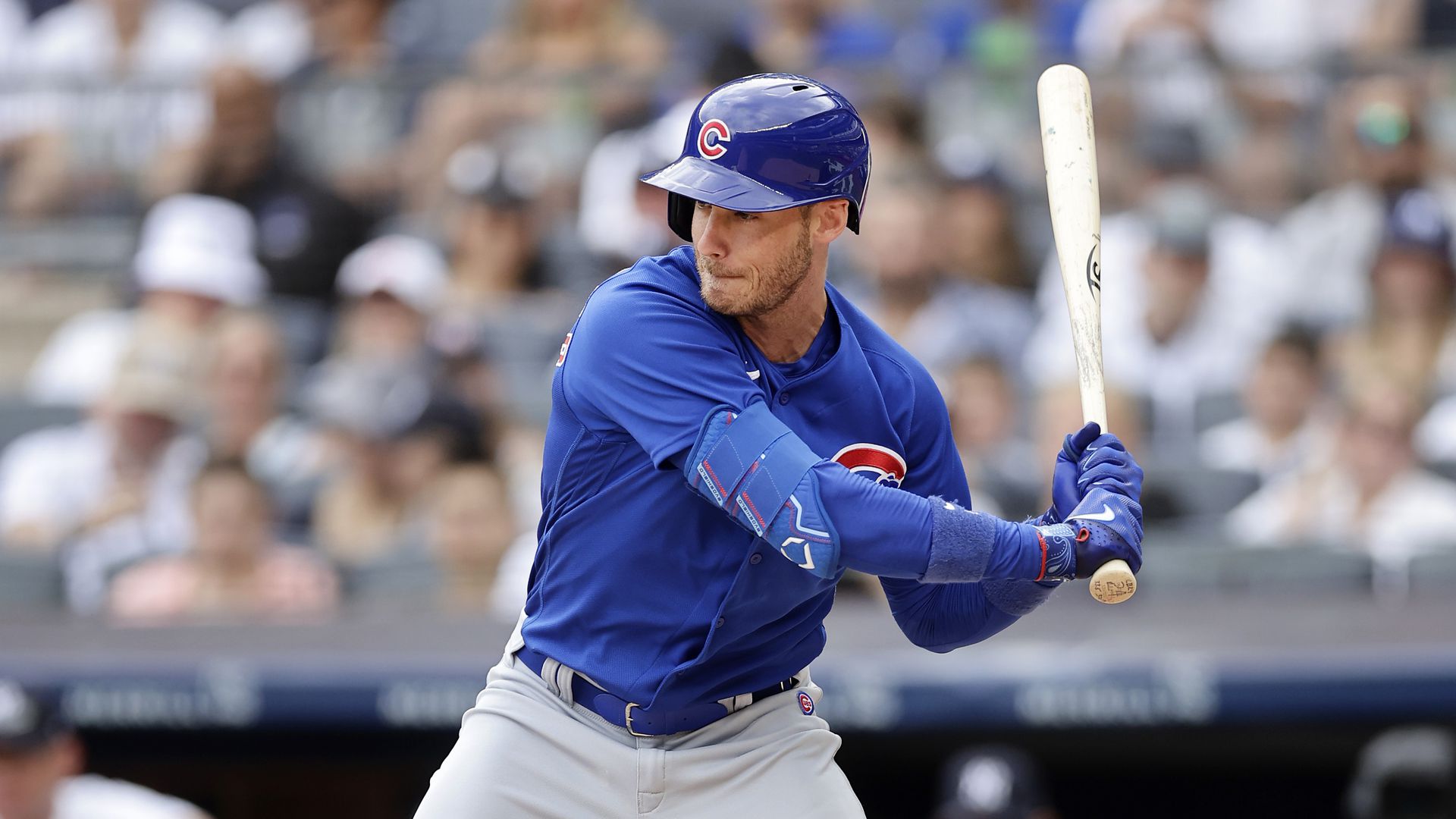 Yankees 2025 Season Preview: Cody Bellinger