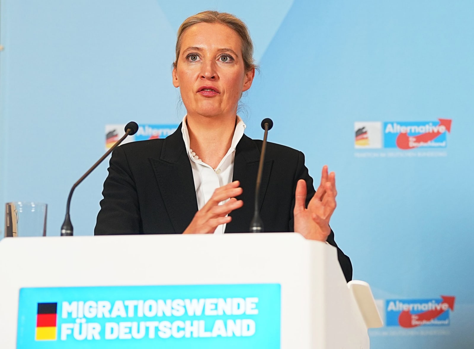 AfD leader Alice Weidel to meet Hungary's Orbán ahead of election