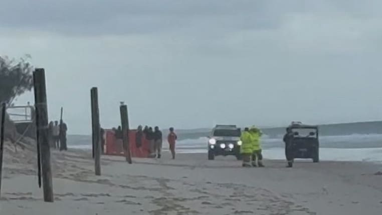 Ses blessures étaient «catastrophiques»: Un requin tue une ado en ...