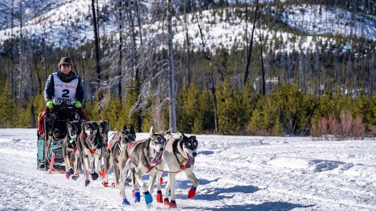 17-Year-Old Musher Wins Warm Lake Stage Race as Part of the Idaho Sled ...