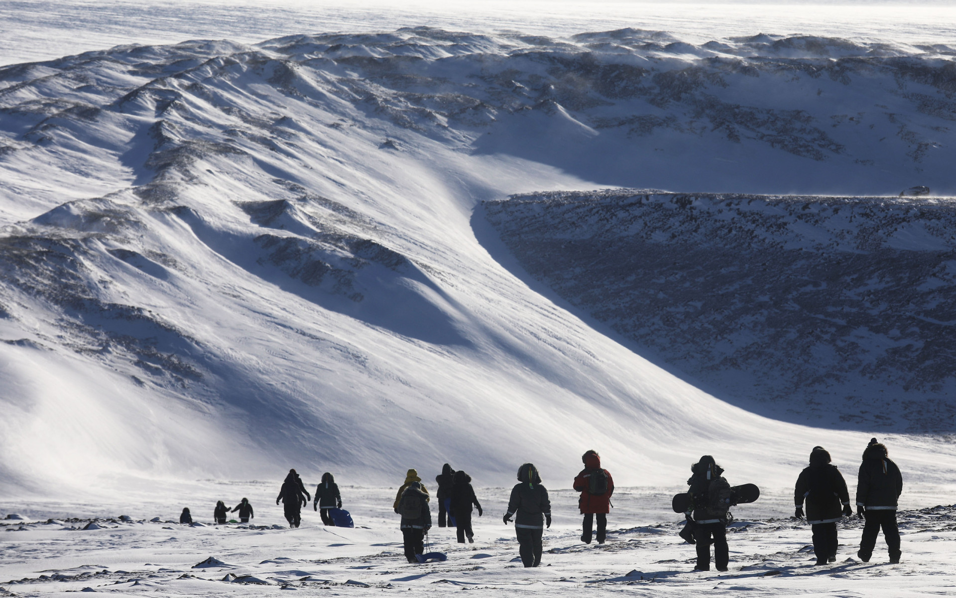 The Evolution of the Tiger and the Journey of an Iconic Predator